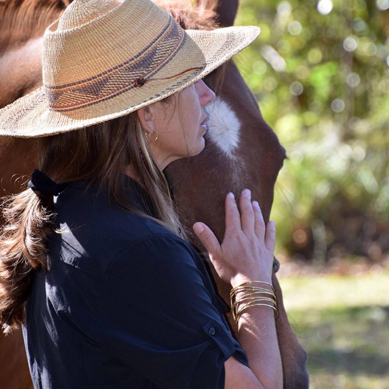 Through The Lens of Equus: How Horses Help Us See Ourselves - Warwick ...